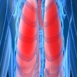 Официален Портал | Фирма | доц. д-р Христо Ганчев - Белодробни болести ...